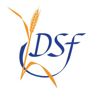 Giving - Sacred Heart Catholic Church - Conroe, TX