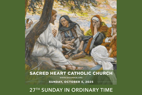27th Sunday in Ordinary Time | 10-5-25 | Catholic Blog